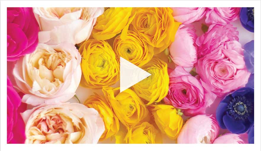 Wedding Direction Cards by Basic Invite